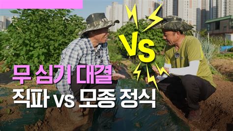 텃밭·주말농장 무 파종하다 직파 Vs 모종 심기 대결ㅣ농담 Youtube