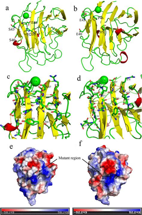 Comparison Of The 3d Structures Hydrogen Bond Networks And The Download Scientific Diagram