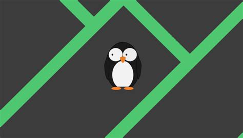 Best Linux Distros For Beginners In