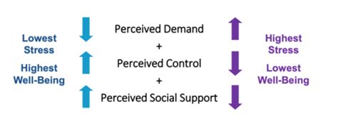 Psyc 314 Test 1 → Lecture Material Flashcards Quizlet