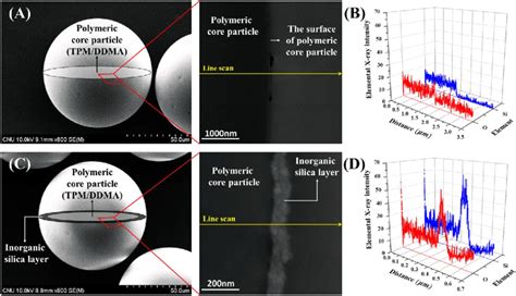 Analysis Of The Core Shell Structure In The Particles A Sem And Tem Download Scientific