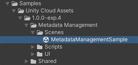 Sample Manage Metadata Field Definitions Unity Cloud Assets 181