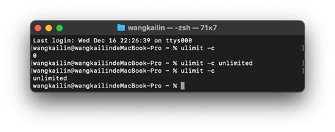 Macos使用lldb调试coredumplldb Core Dump Csdn博客
