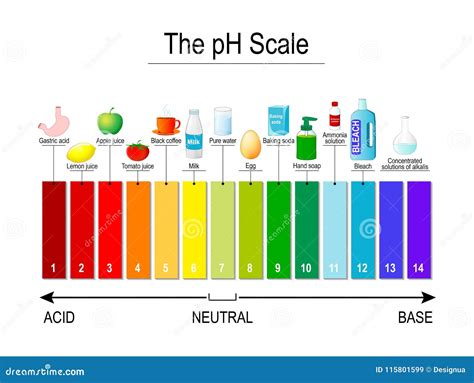 The Ph Scale Universal Indicator Ph Color Chart Diagram Cartoon Vector