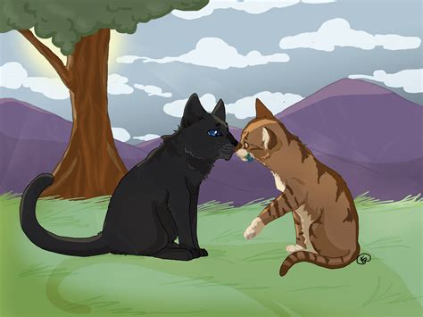 Leafpool Wallpapers Top Free Leafpool Backgrounds Wallpaperaccess