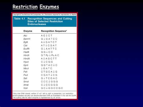 PPT Reproductive Cloning PowerPoint Presentation Free Download ID 1607138