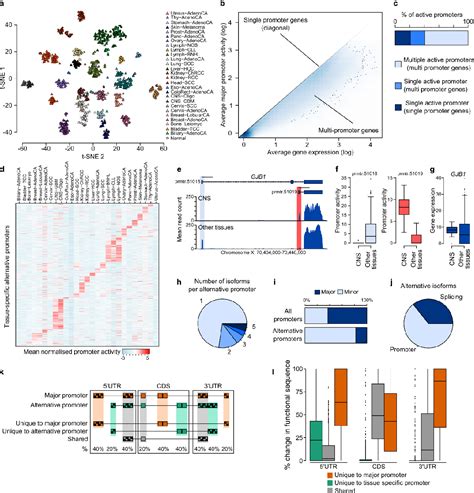 Figure 2 From A Pan Cancer Transcriptome Analysis Reveals Pervasive Regulation Through Tumor