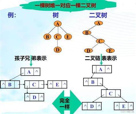 【数据结构导论】第 4 章：树和二叉树性质5对有n个结点的完全二叉树的结点按层编号 从第1层到第 Log 2 N 1层每层从 Csdn博客