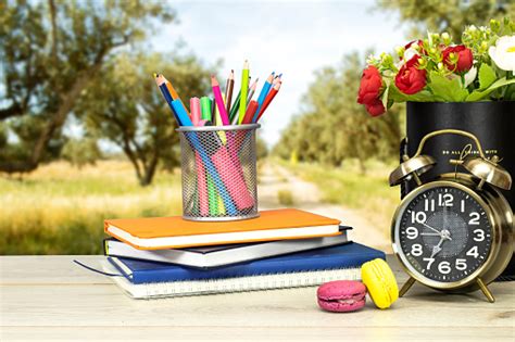 학교 개념으로 돌아가기 연필 상자와 책 7시와 꽃을 보여주는 공책과 시계 흐릿한 올리브 밭 근처의 나무 테이블에 있는 마카롱 쿠키 0명에 대한 스톡 사진 및 기타 이미지