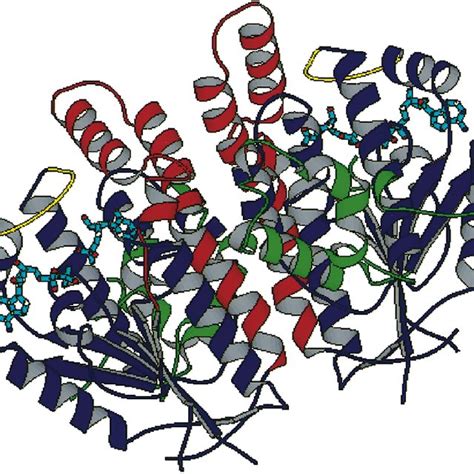 Formation Of The Ternary Enzyme Substrate Complex Tkdtatp The Two Download Scientific Diagram Formation Of The Ternary Enzyme Substrate Complex Tkdtatp The Two Download Scientific Diagram
