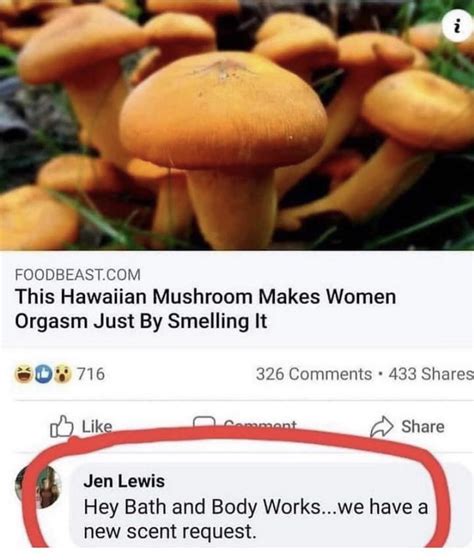 2531 Best Lightened Images On Pholder Interestingasfuck Nature Is Fucking Lit And