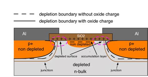 Effects Of The Oxide Charge On A P N Sensor A Positive Oxide Charge