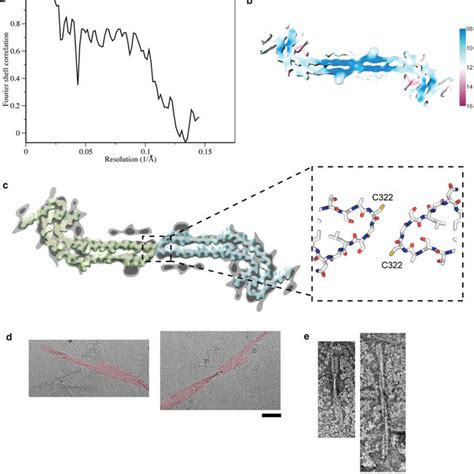 Wpf Structure A Fourier Shell Correlation Curves Between Two Download Scientific Diagram