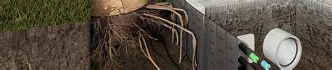 root protection and guidance greenmax green solutions