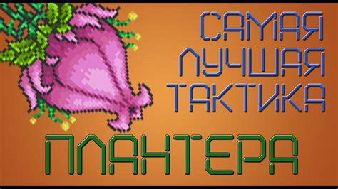 ПЛАНТЕРА Террария Как призвать Плантеру в Террарии Тактика Арена Youtube