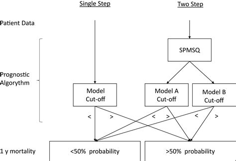 A Simplified Multidimensional Scale Approach Is Effective In Predicting Mortality In