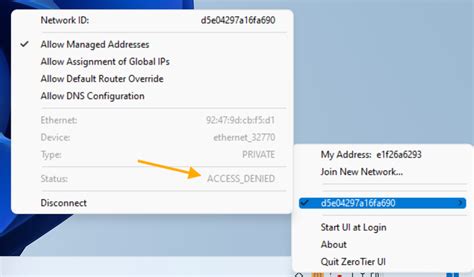 Create A Network Zerotier Documentation