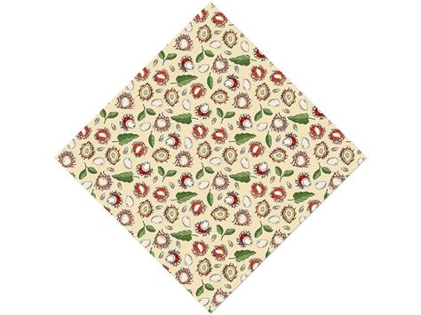 Rcraft™ Caesars Variety Rambutan Craft Vinyl Fruit Craft Sheets