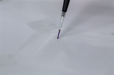 Agarose 젤 전기 이동 법은 젤 전기 이동 법에서 생화학 분자 생물학 유전학 그리고 임상 화학 실험실에서 사용 되는 방법입니다 싣기에 대한 스톡 사진 및 기타 이미지