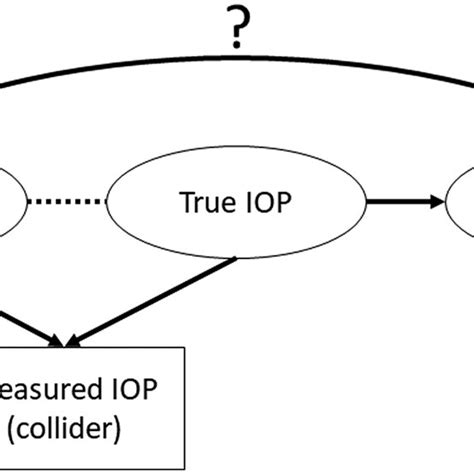 Directed Acyclic Graphs Demonstrating Confounding Left And Collider Download Scientific