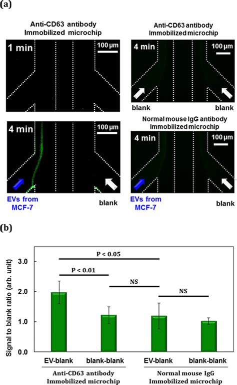 EV Detection On The SF PF Microchip A Typical Fluorescent Images And Download Scientific