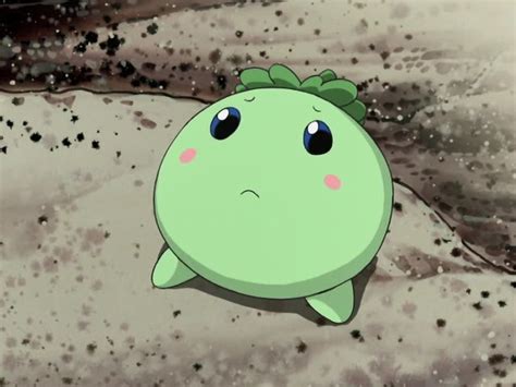 All Digimon From Digimon Adventure 02 Ranked Fandom