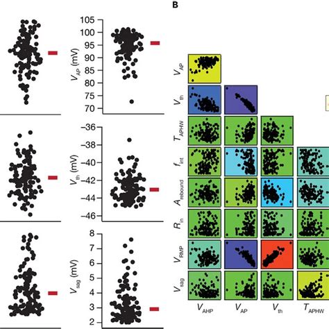 Heterogeneous Distribution Of Measurements From Day Like Scn Neurons