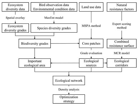 A Framework For Developing Biodiversity Conservation Networks Based On