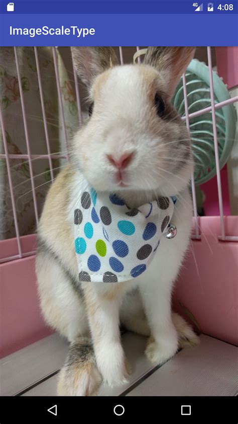 Android Imageview 圖片縮放（scaletype 屬性） Myapollo