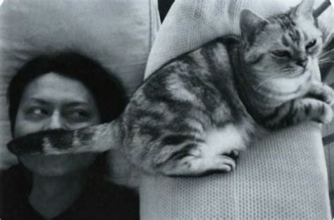 Pin By さく さくら On 櫻井敦司と猫 Cats Japanese Babies Visual Kei