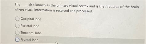 Solved The Also Known As The Primary Visual Cortex And Is Chegg Com