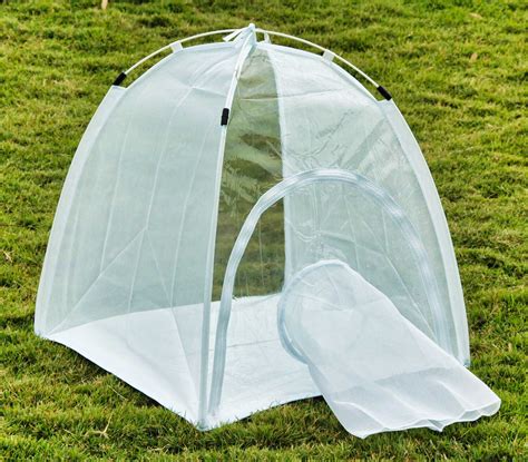Insect Screen Tent At Molly Taveras Blog