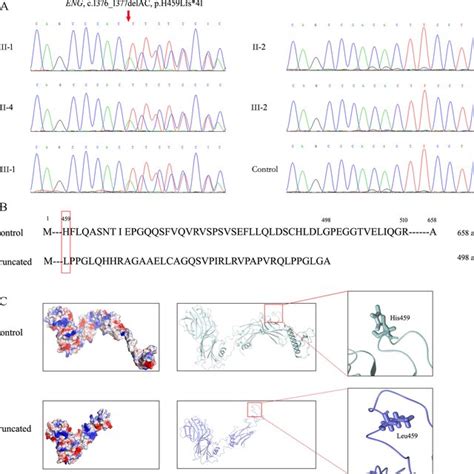 Mutation Analysis Of Eng Gene A Sanger Sequencing Showed The Presence Download Scientific