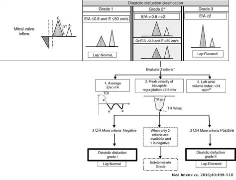 What Is Stage 3 Diastolic Dysfunction Shannon Lansberrys English Worksheets