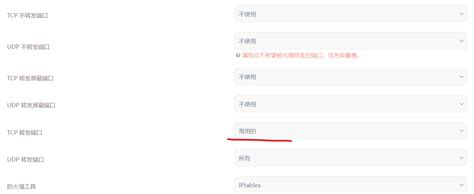 Bug N1 Docker 容器中运行 Openwrt Passwall Udp 转发失效 · Issue 2238 · Xiaoroujiopenwrt Passwall · Github