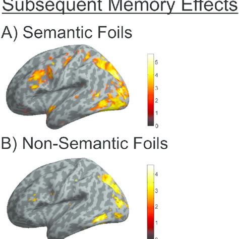 Inflated Brain Activations Of Conjunction Analysis For Phase 1 And