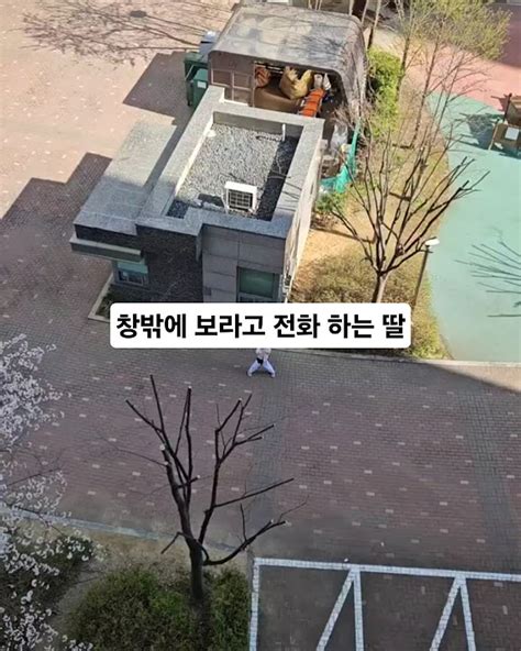 학원갔다오면서 창밖에 보라고 전화하는 딸 우리계속 사이좋게지내자 ️ Youtube