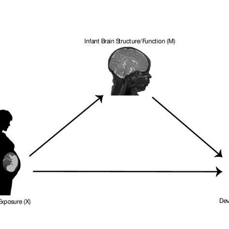 Statistical Mediation A Mediation Model Seeks To Identify A Mediator Download Scientific