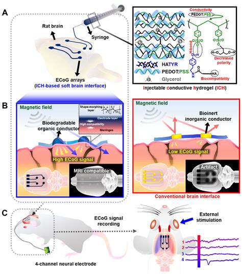 Injectable And Tissue Conformable Conductive Hydrogel For Mri