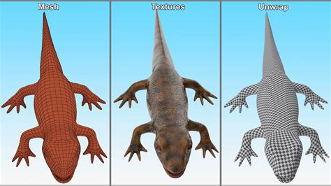 3d Iberian Ribbed Newt Rigged Turbosquid 2143556