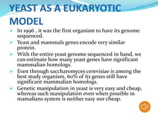 Genetic Analysis Of Yeast PPT