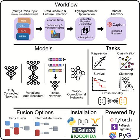 Deep Learning In Precision Cancer Therapy Innovations For Targeted Treatment Strategies Archyde