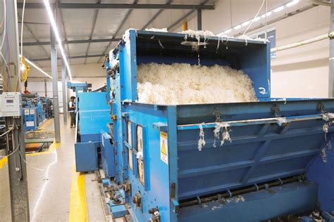 Хонины ноосыг 100 хувь эдийн засгийн эргэлтэд оруулах нөхцөл бүрдүүлэхийг чиглэл болгов Монгол