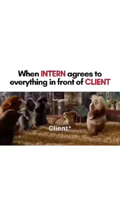 Video Sahil Saxena On Linkedin Intern Chronicles Internlife