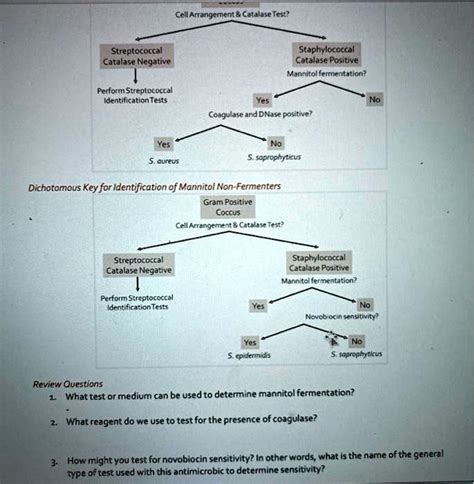 [get Answer] Cell Arrongement Catalase Tes Streptococcal Catalase Negative Staphylococcal