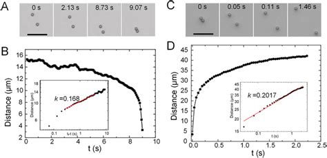 Force Analysis For Aggregation And Separation Of Particle Pairs