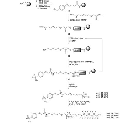 Scheme 3 Synthesis Of The Photoreactive Fluorous Spacers By Solid Download Scientific Diagram