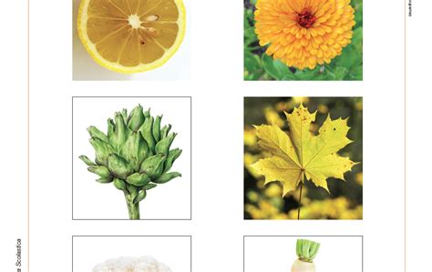 Traccia Gli Assi Di Simmetria Giunti Scuola