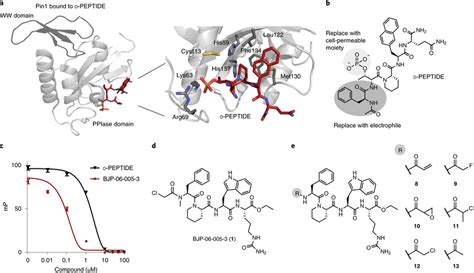 Structure Modification Structures Of Modification When Adverbs Appear As Heads Of Structure