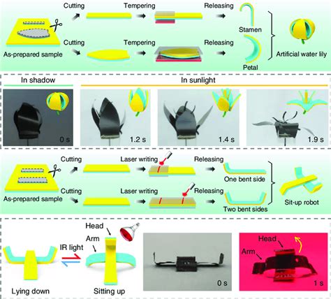 typical morphing systems assembled from basic morphing units of sga pe